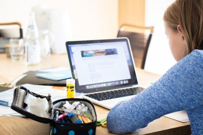 Why Educators Need to Embrace Virtual Learning Environments - Imagup