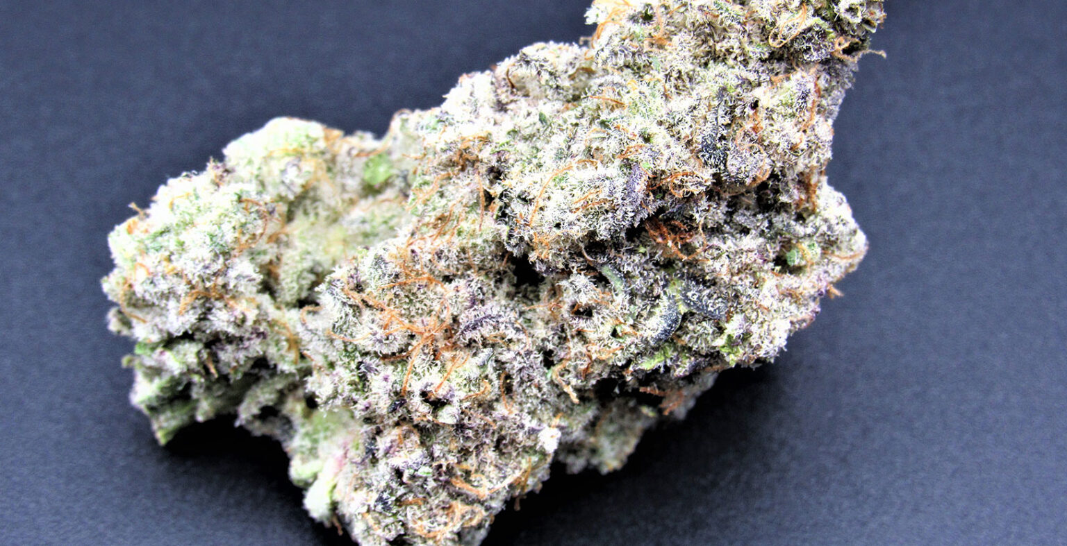 4 Things To Know About Mac 1 Strain: Why Are Everyone Talking About It ...