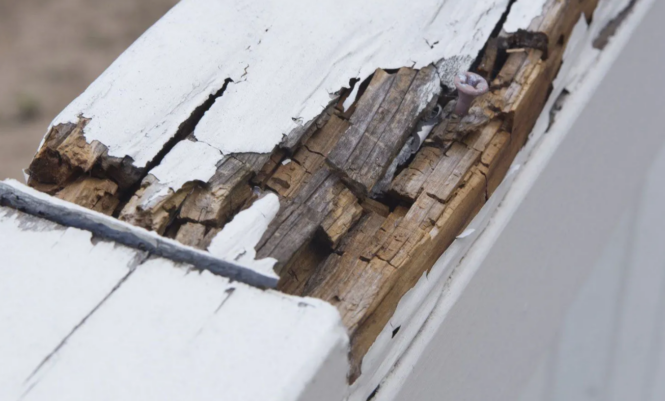 Can Rotted Wood in Boat Be Repaired? Here’s What You Need To Know