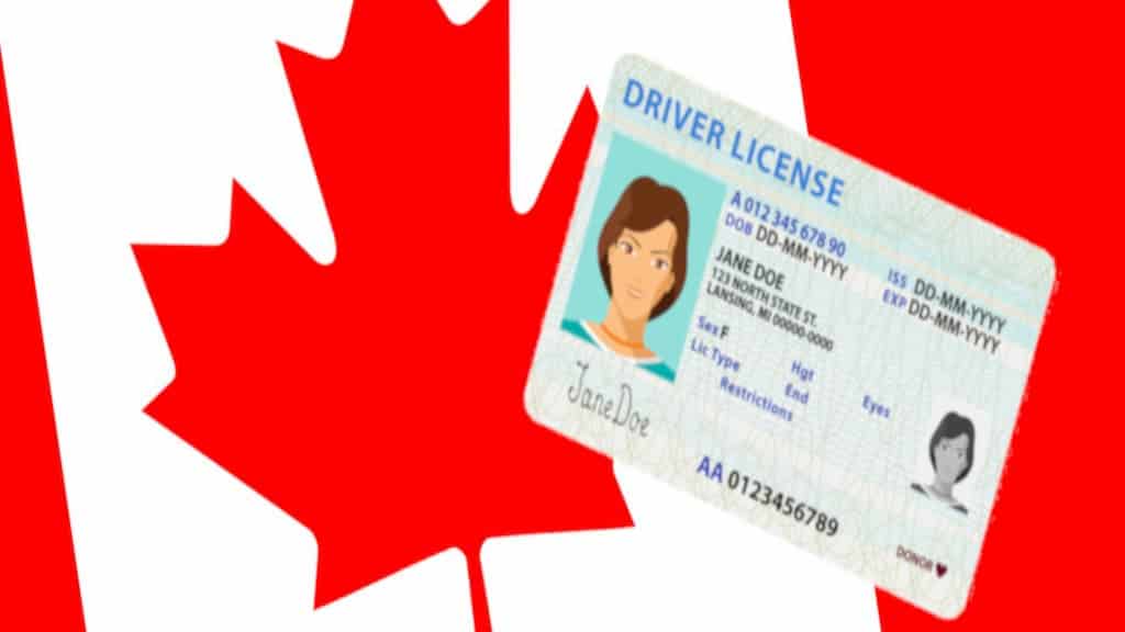 What You Should Know About New Brunswick Driving Laws? - Imagup