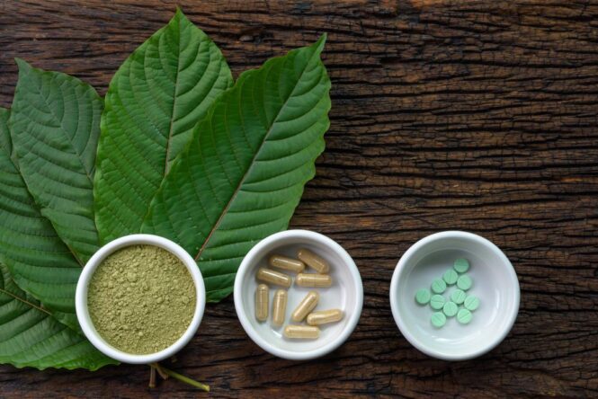 Kratom and Its Effects on Your Body - Imagup