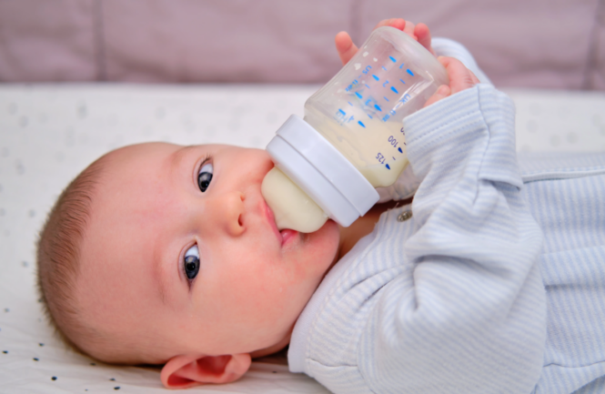 What's in the Milk: Exploring Holle Bio Baby Formula Components (2025 ...