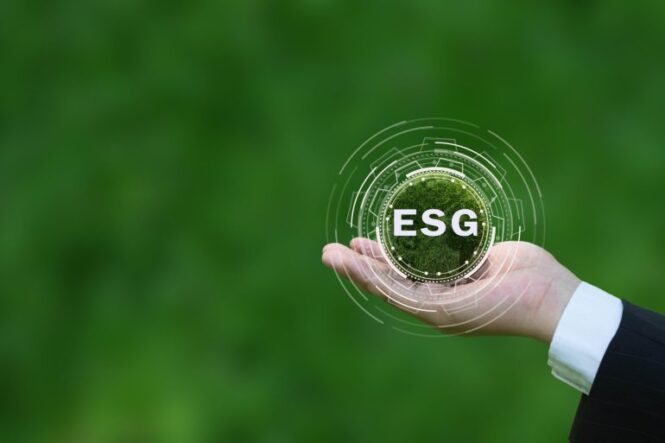 Why Is ESG Important for Risk Management? - Imagup