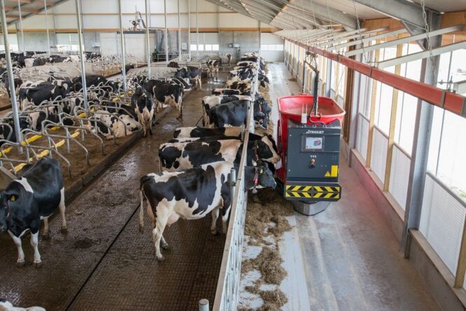 Benefits Of Automated Feeding Systems In Animal Farming - Imagup