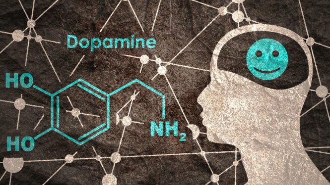 Addicted to a Dopamine Rush? In a Way, We All Are - Imagup