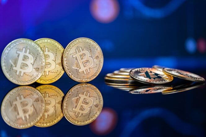 From Zero to Crypto Hero: Maximizing Profits in the World of Digital ...