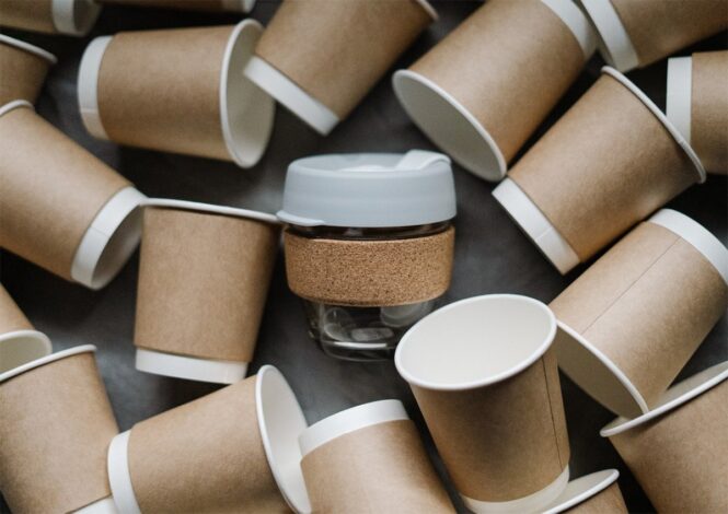 The Truth About Recycling Paper Cups — And How to Do It Right - Imagup